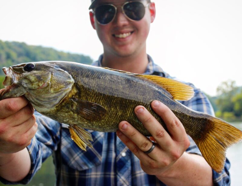 The Guide to Beginner Bass Fishing On a Fly Rod | Bass Edge
